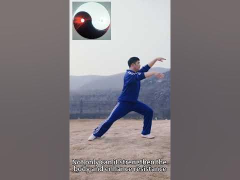 Learning Tai Chi can improve self-defense skills #wudang #taichi #health#Qigong # Chinese Kung ...