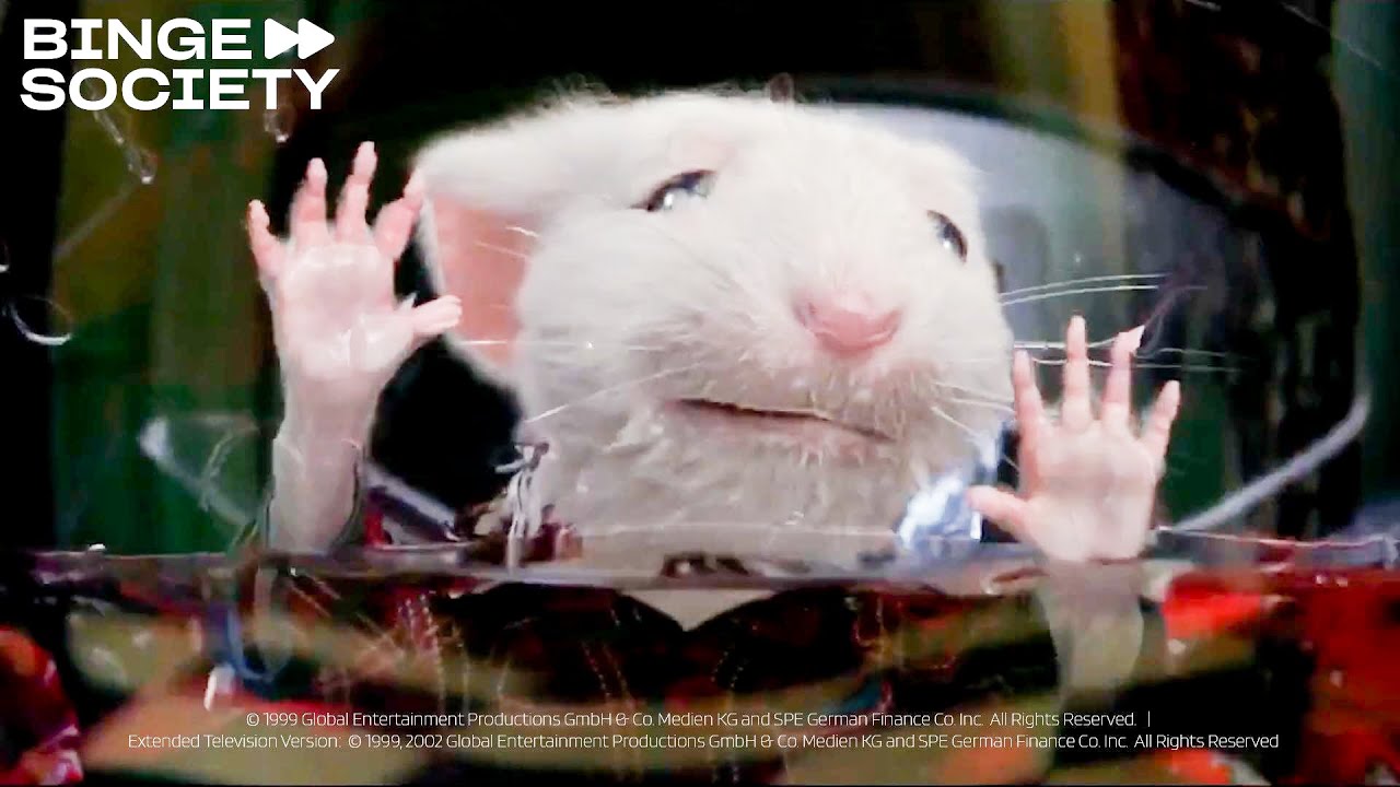 Stuart Little | Atrapado en la lavadora - YouTube