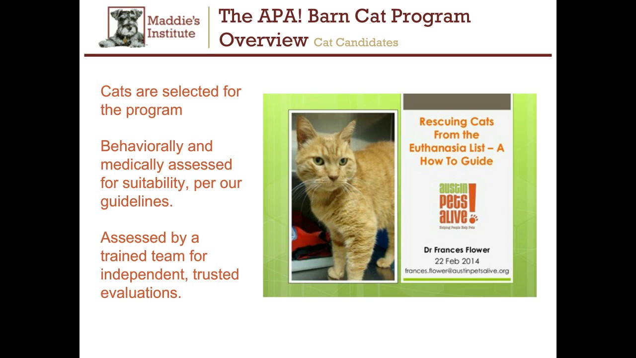 APA Barn Cat Program apprenticeship webcast - YouTube