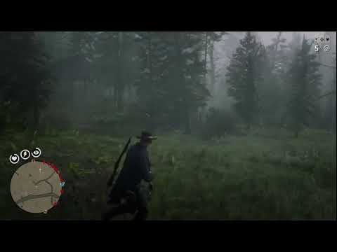 Red dead redemption 2 Online : Free roam and  unlocked new naturalist role.