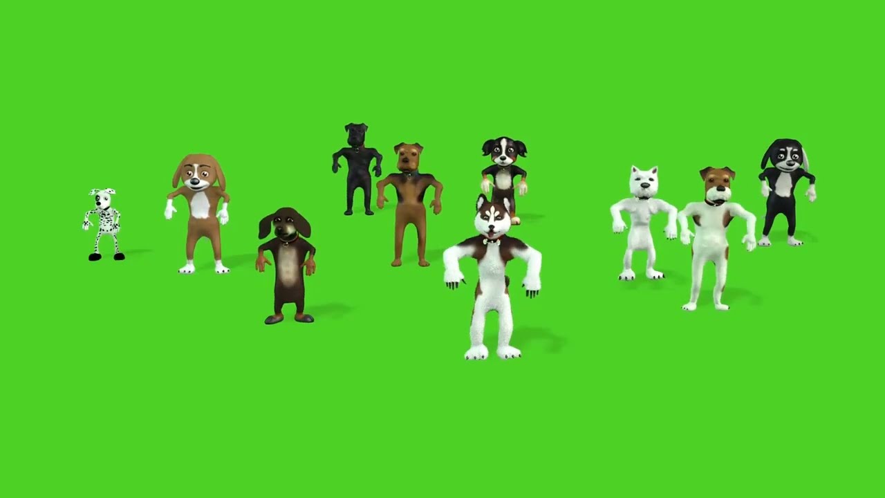 Funny Dog Dancing Green Screen - YouTube