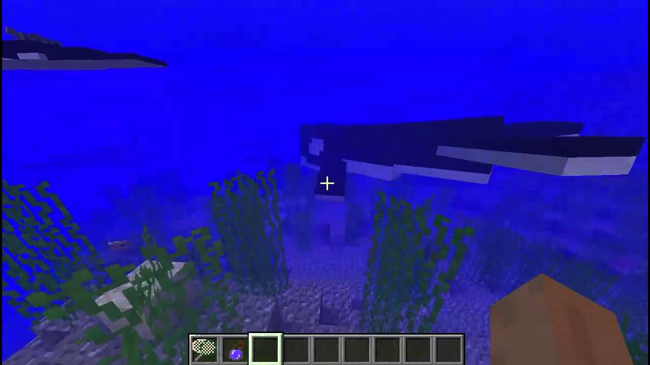 Balena Blu Di Minecraft