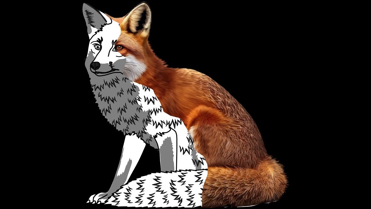 His Dark Materials La Materia Oscura, Daimonion Zorro, Daimonion Zorro ...