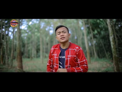 Lagu Pop 2019 | Narta Siregar - Mabuk Tah Sadar