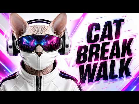 CAT BREAK WALK | ELECTRO CLASH HOUSE CATWALK BREAKBEAT 2026