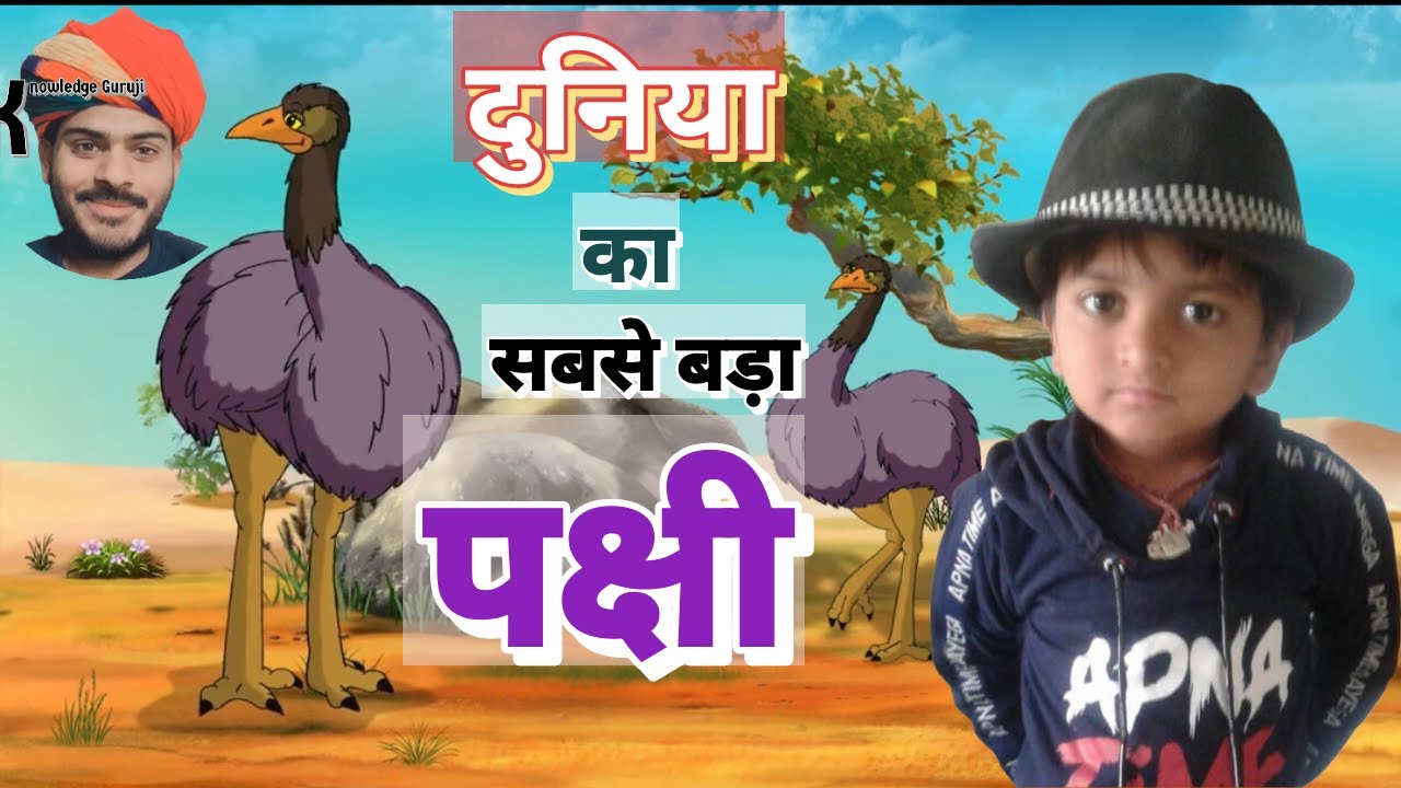 ostrich, ||shuturmurg bird|| जानें शुतुरमुर्ग के बारे में, #ostrich ...