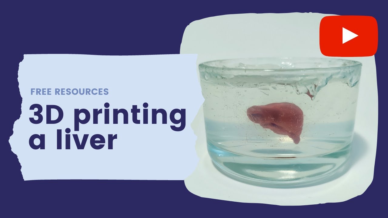 3D printing a liver - YouTube