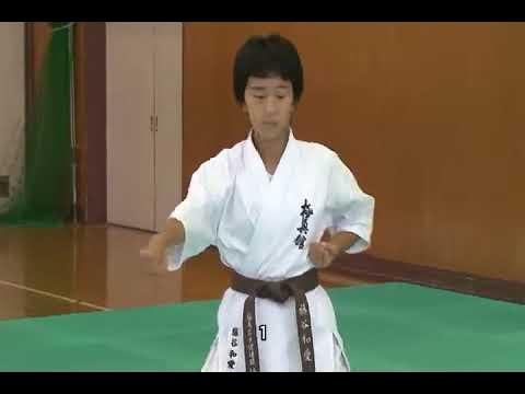 Kyokushin Kata Explanation - Pinan Sono San (3) - YouTube