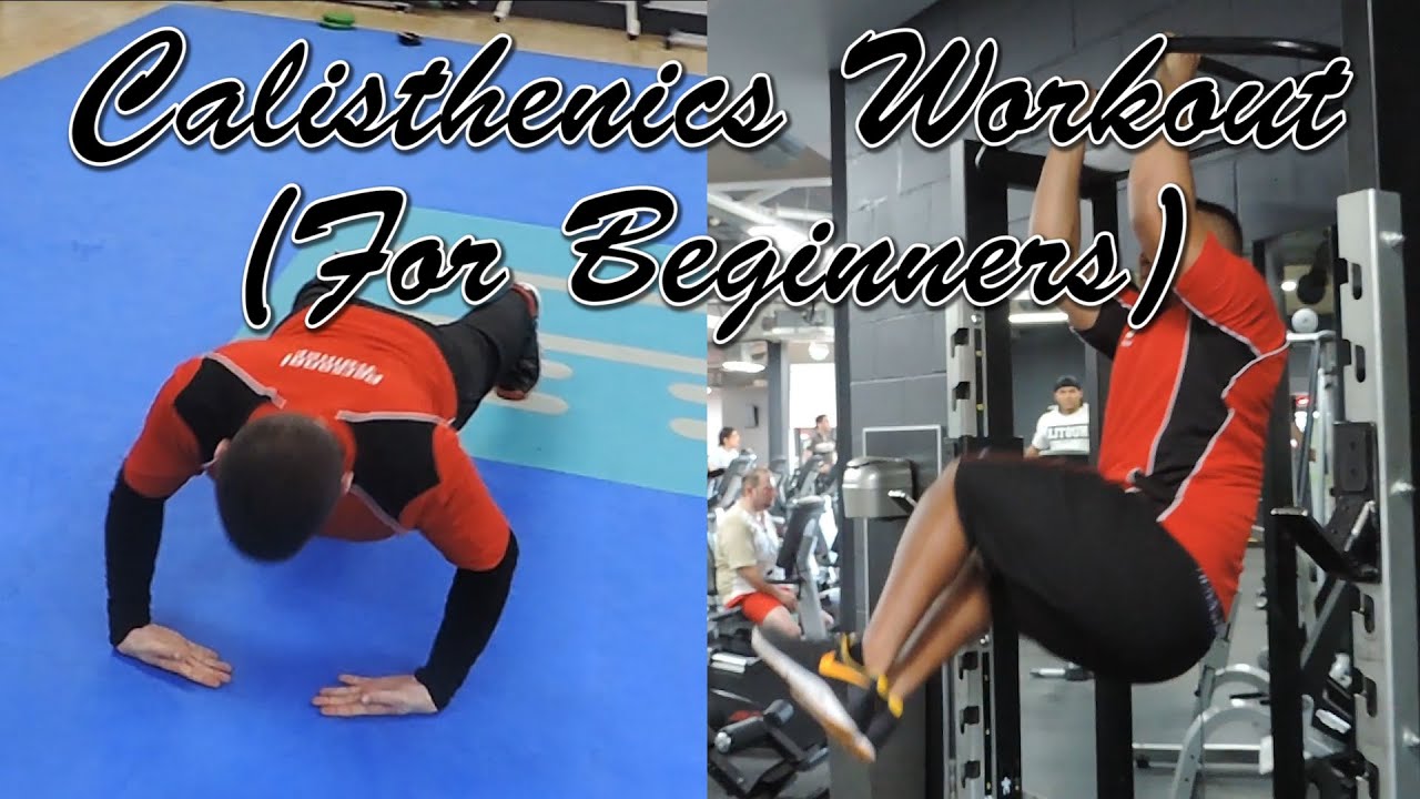 Calisthenics Workout (For Beginners) - YouTube