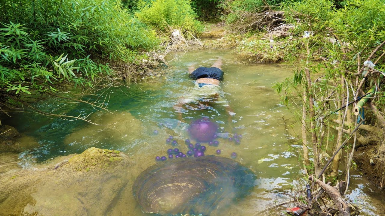 Since no one believes that clams can spit out such beautiful pearls, it ...