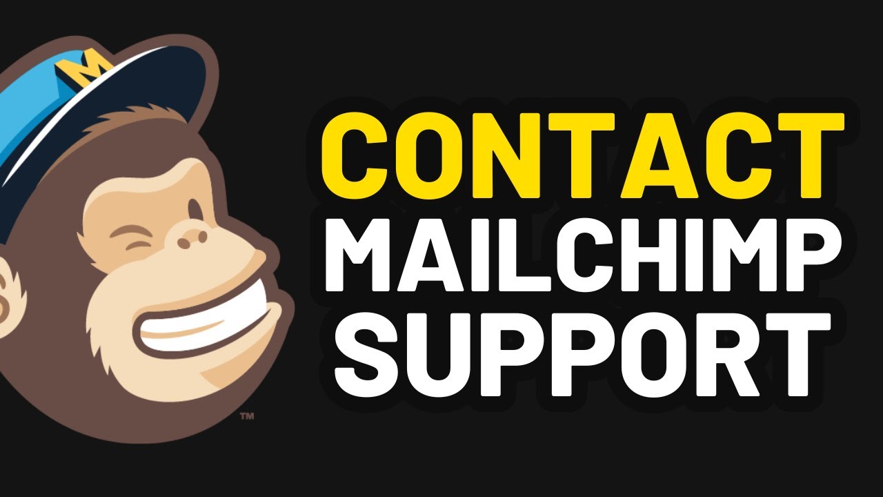 How to Contact Mailchimp Support (2024) - YouTube