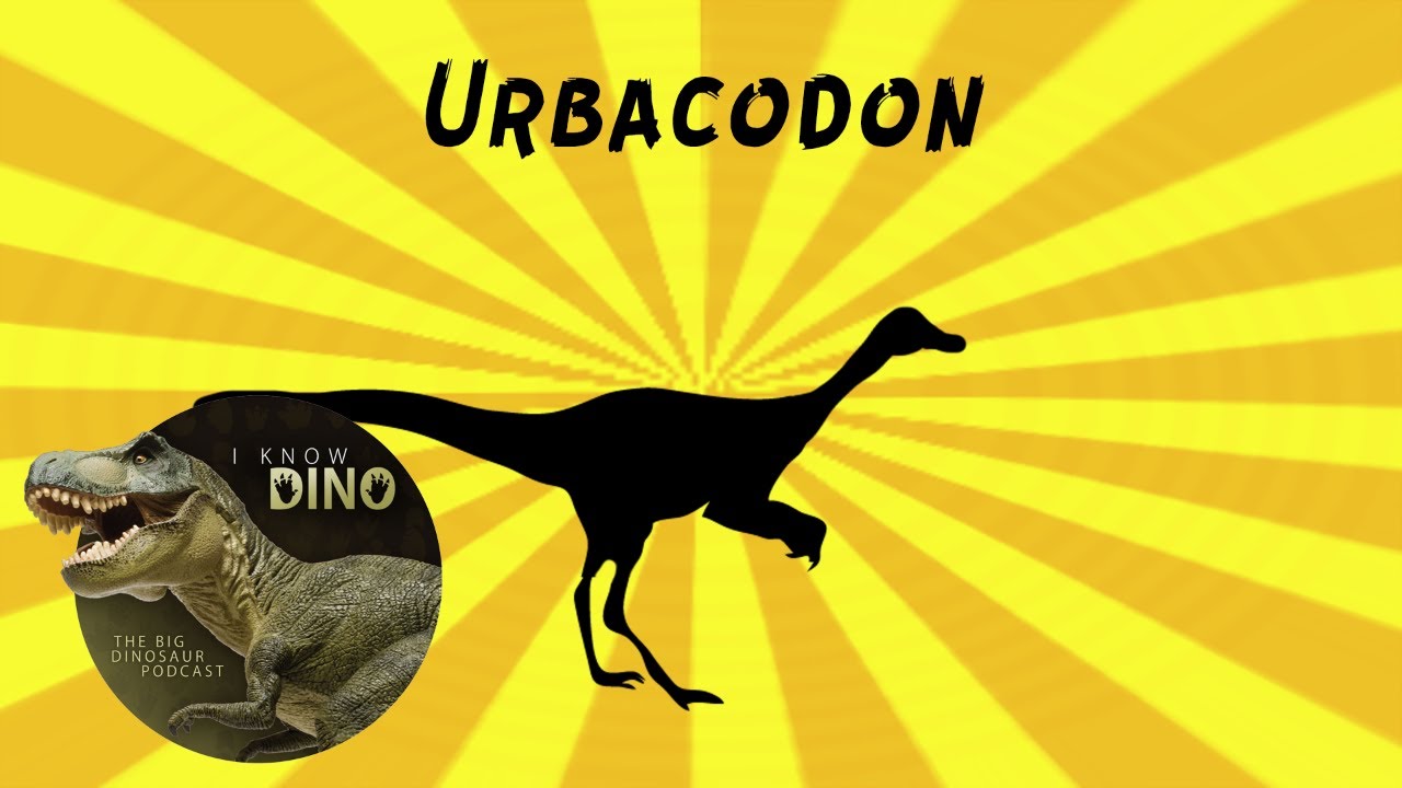 Urbacodon: Dinosaur of the Day - YouTube