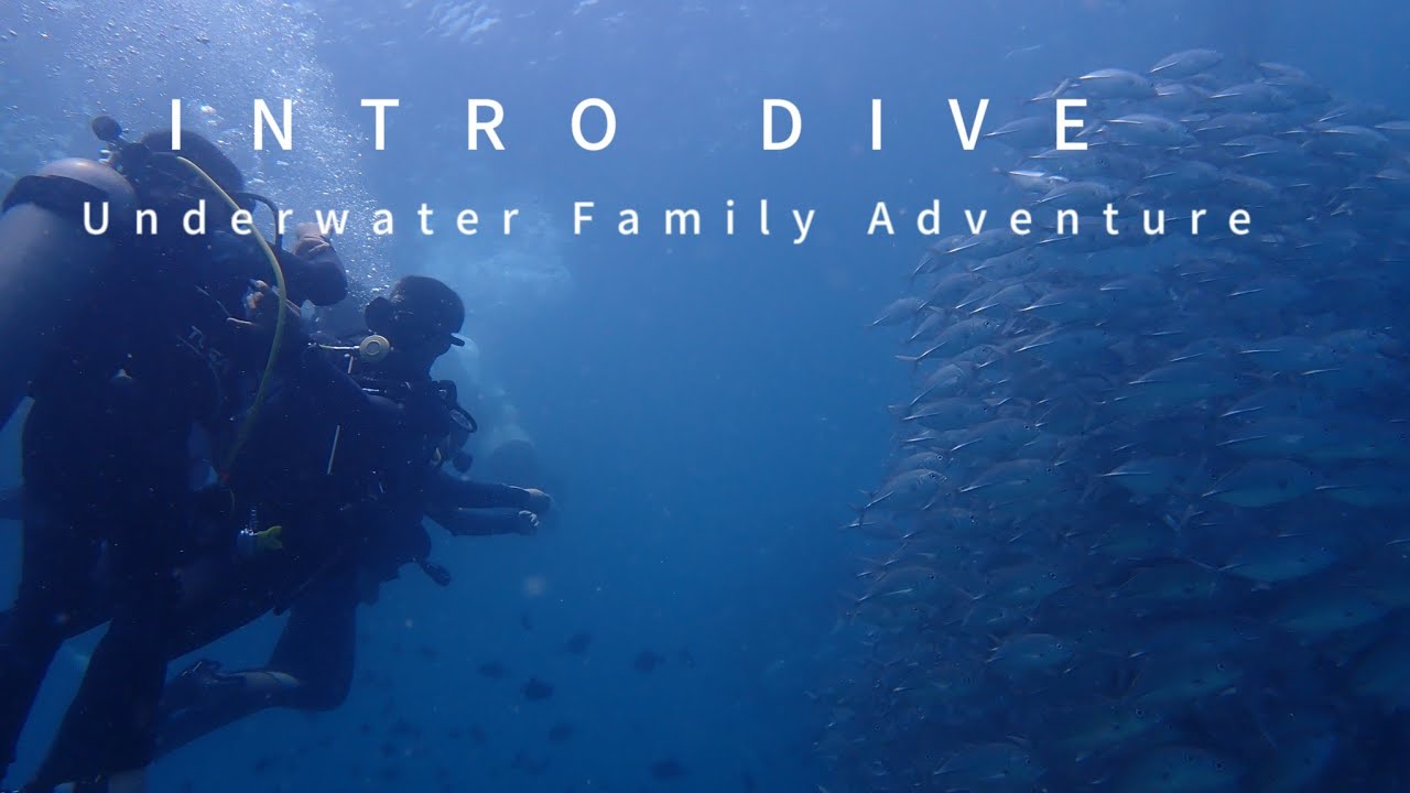 "Underwater Together: A Family's First Dive Adventure" - YouTube