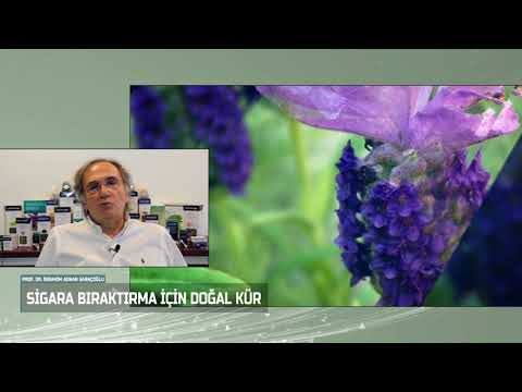 Sigara Bırakma Kürü | Prof Saraçoğlu Anlatıyor