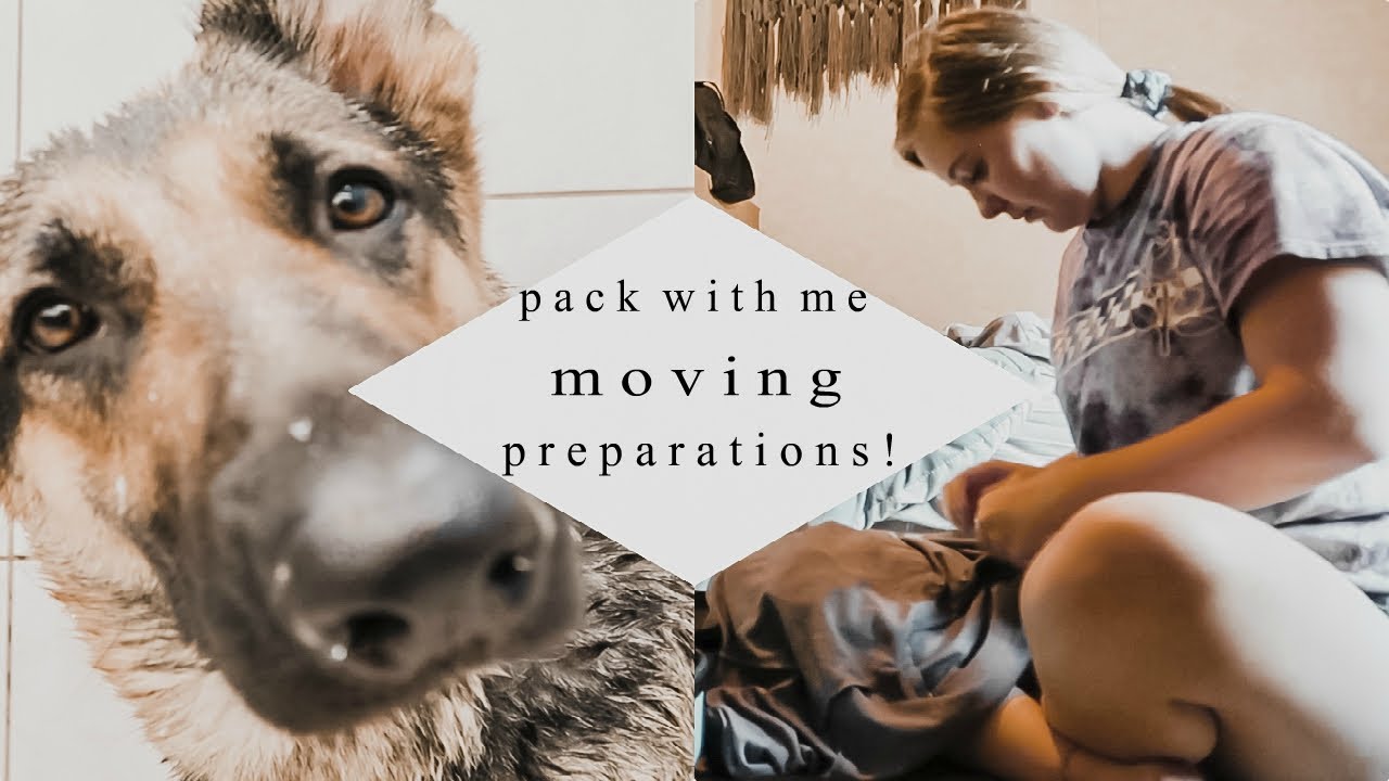preparing to move! pack & get ready with me! 09/21/20 - YouTube