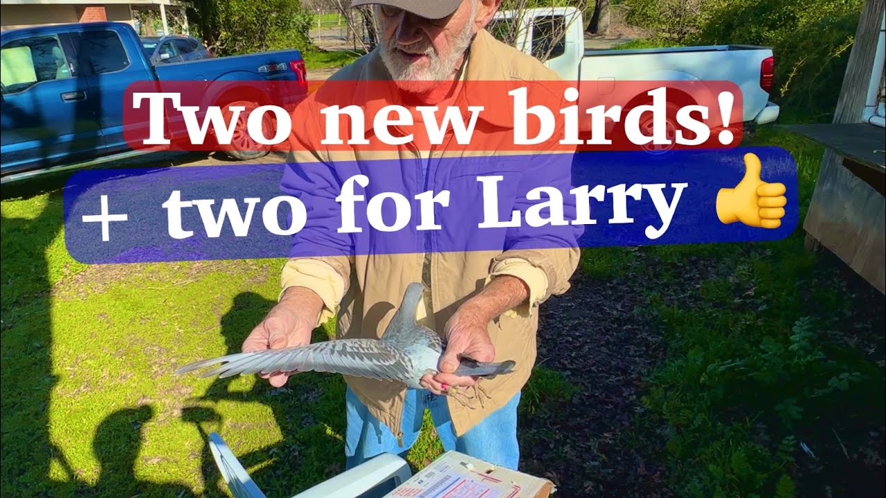 Unboxing the entries from Jason Jordan and Andrei Tamas - YouTube