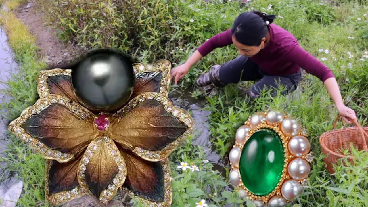 Giant clam shells grow in dense green grass, and pearls are beautiful ...