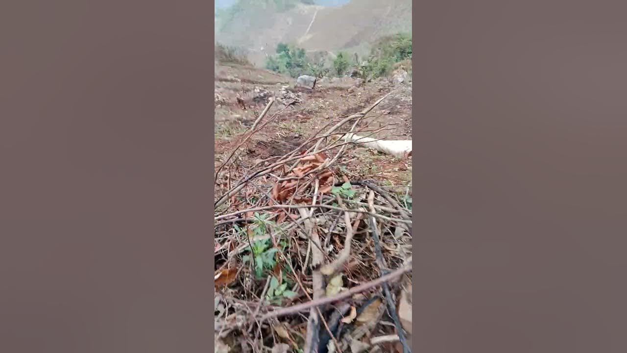 hnub no kv tuaj mus saib teb - YouTube