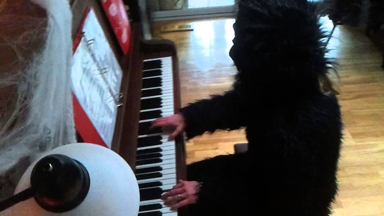 Gorilla Playing the Piano - YouTube