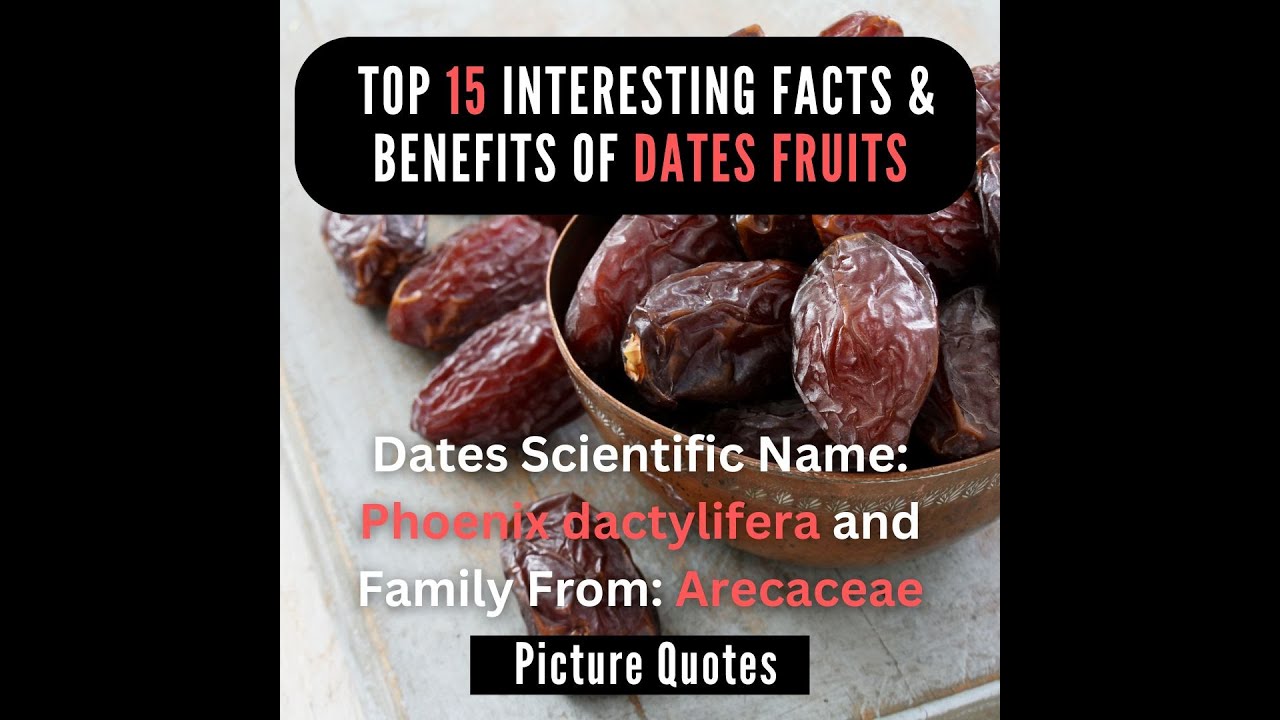 Top 15 Interesting Facts and Benefits of Dates Fruit👈(Scientific ...