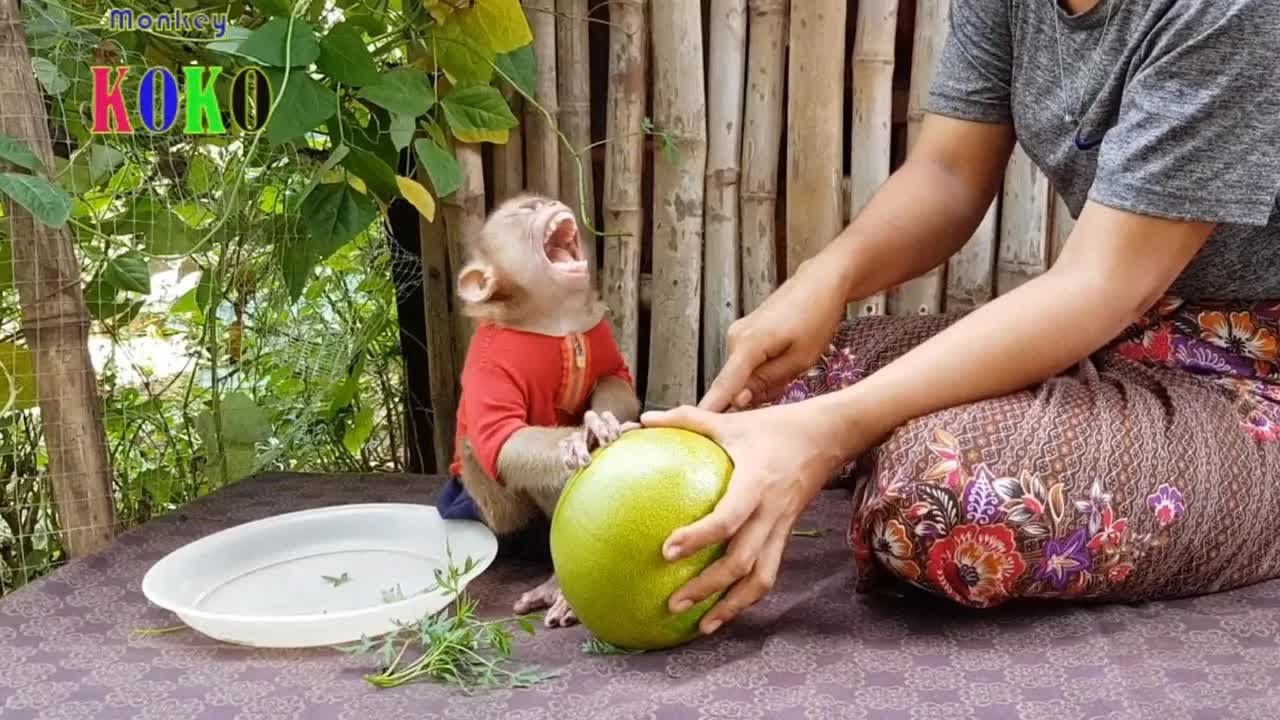 The Water Orange Spread To His Face While Mom Peel - YouTube