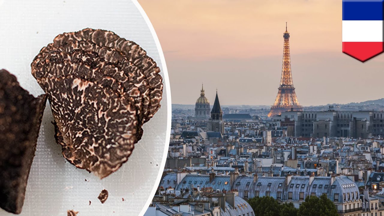 Wild rooftop truffle: Winter black truffle found growing on Paris hotel ...