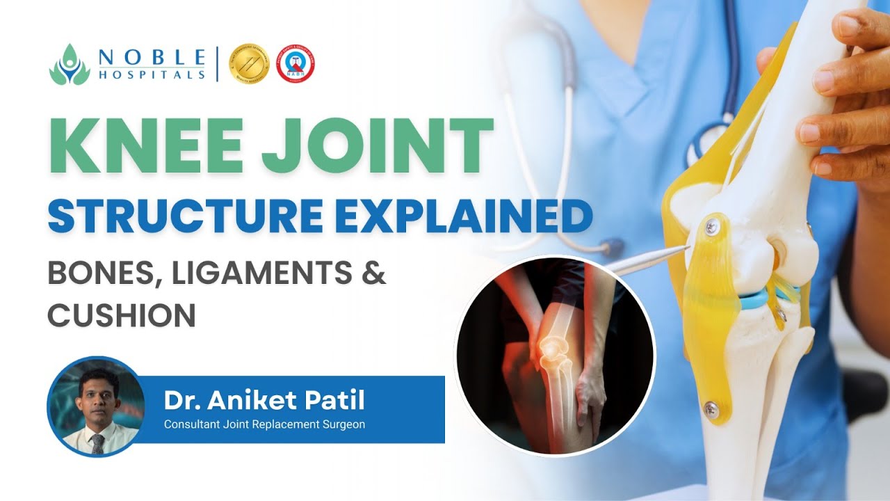 Knee Joint Structure Explained | Bones, Ligaments & Cushion | Dr Aniket ...