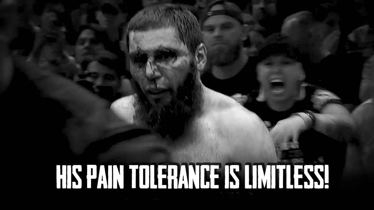 The MOST BRUTAL "King Of Brawl" ALIY ZVER! Bare-Knuckle BoxingTOP DOG ...