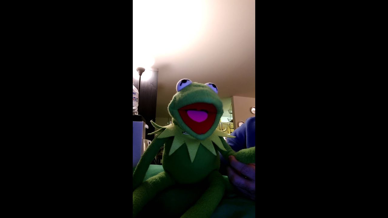 Kermit the Frog: Rainbow Connection - YouTube