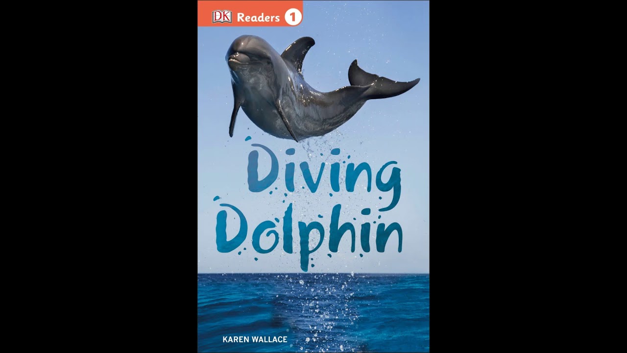 Diving Dolphin AR Quiz #45906 - YouTube