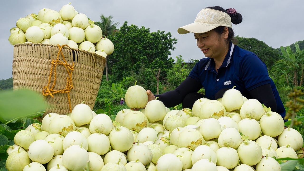 Full VIDEO: Harvesting melons, Wampee, vegetables,lychee fruit Go to ...