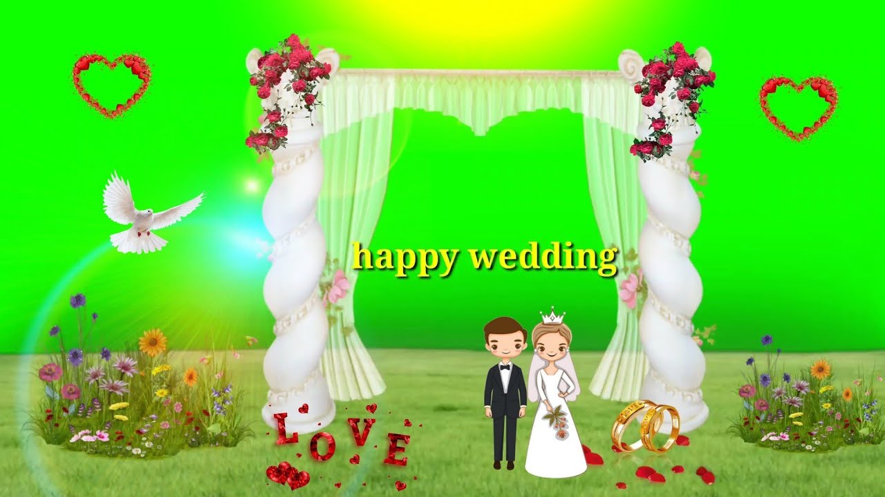 Shadi Ka Background| wedding 💑 Green Effects #wedding - YouTube