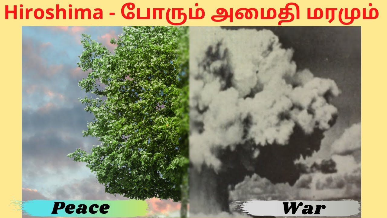 STORY - 21 History of Hiroshima peace tree | #Hiroshima #KuttiStory ...