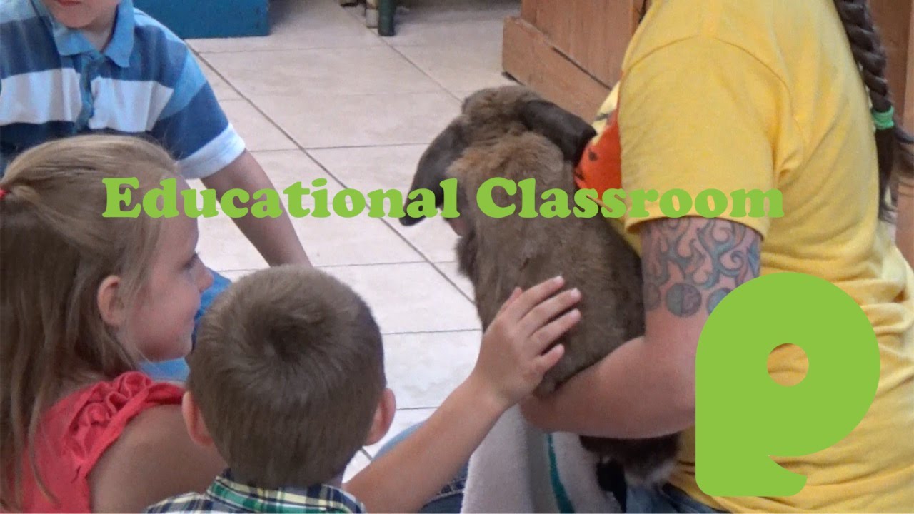 Preuss Pets: Educational Classroom - YouTube