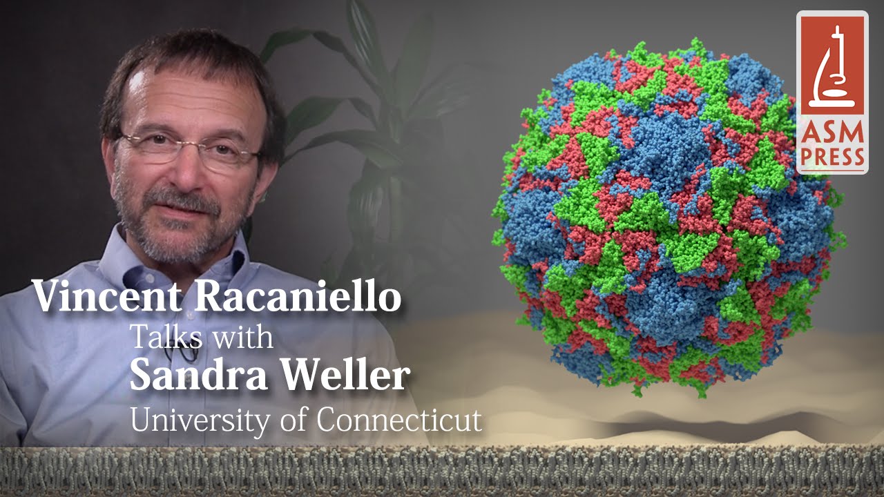 Interview with Sandra Weller, PhD, Vol 1, Ch. 9: Principles of Virology ...