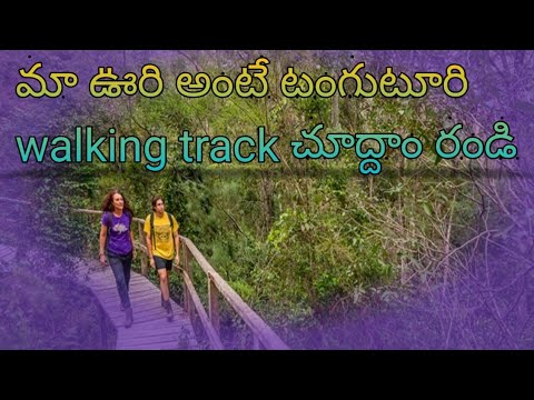 Tangutur walking track||Tangutur park||Tangutur beautiful locations ...