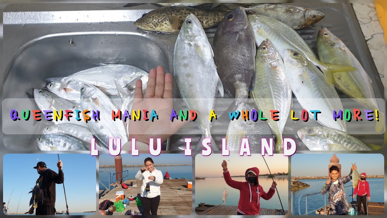 Fishing in Lulu Island Port 3 - Abu Dhabi - p1 | FishWorld TV - YouTube