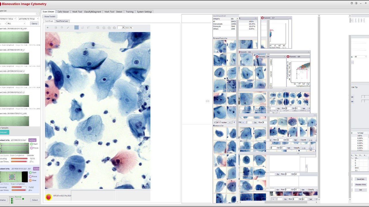 Bionovation Image Cytometry 2019 06 18 10 58 03 - YouTube