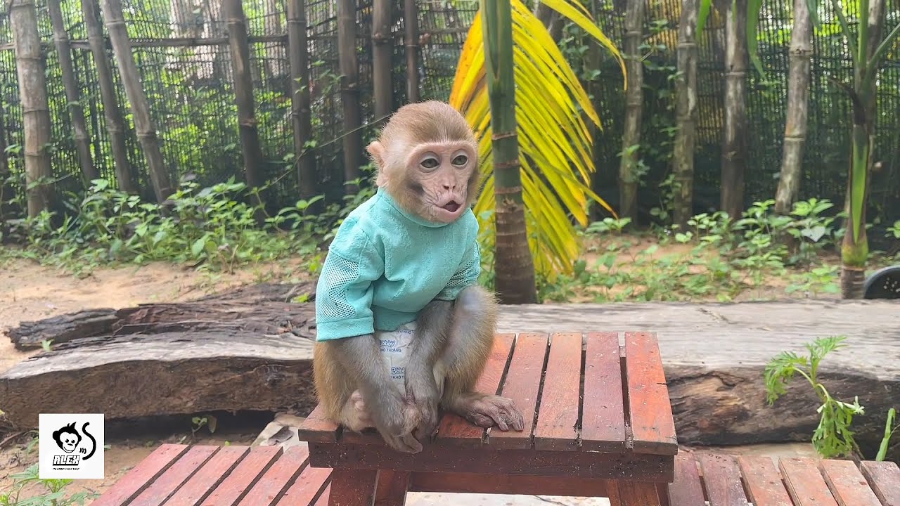 OMG, Whenever Alex Cries, His Mouth Looks So Beautiful - YouTube