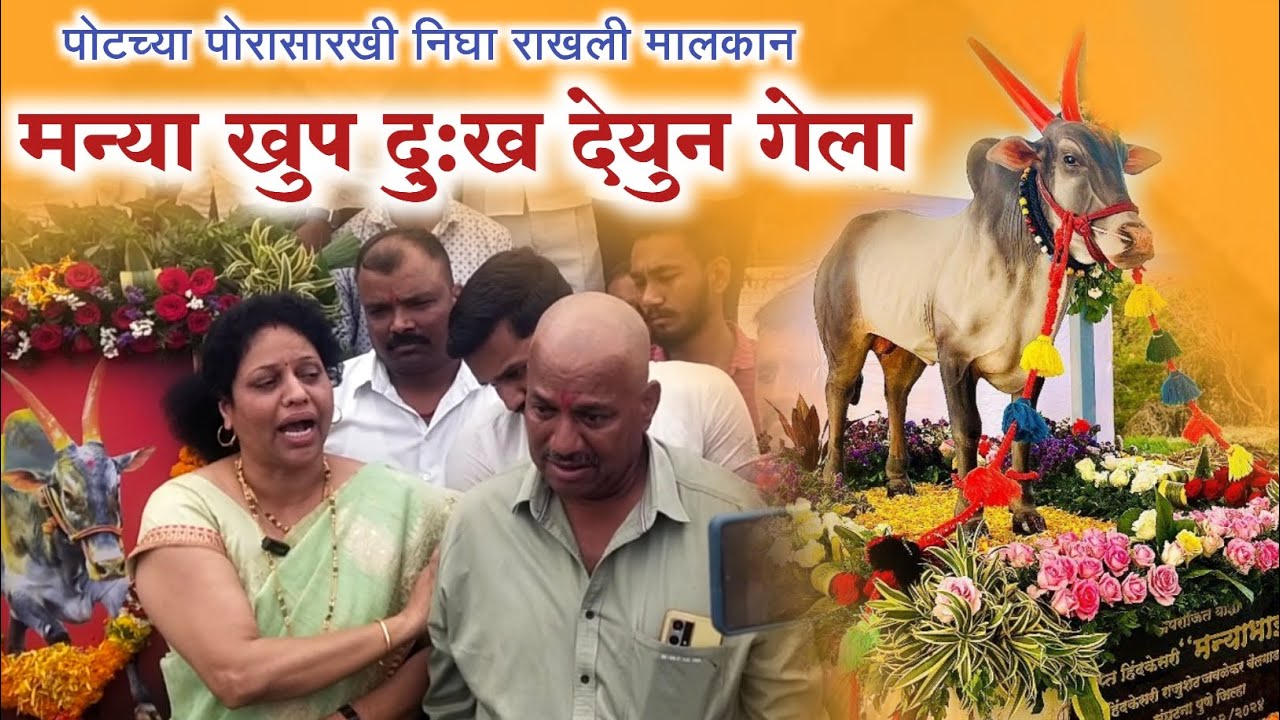 मन्या बैलाचा दशक्रिया विधी नाना झाले भाऊक | manya bail dashkriya # ...