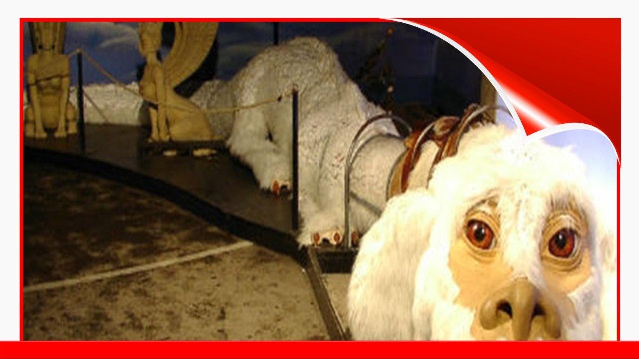ThereS A Place In Germany Where You Can Ride Falkor And See The Props ...