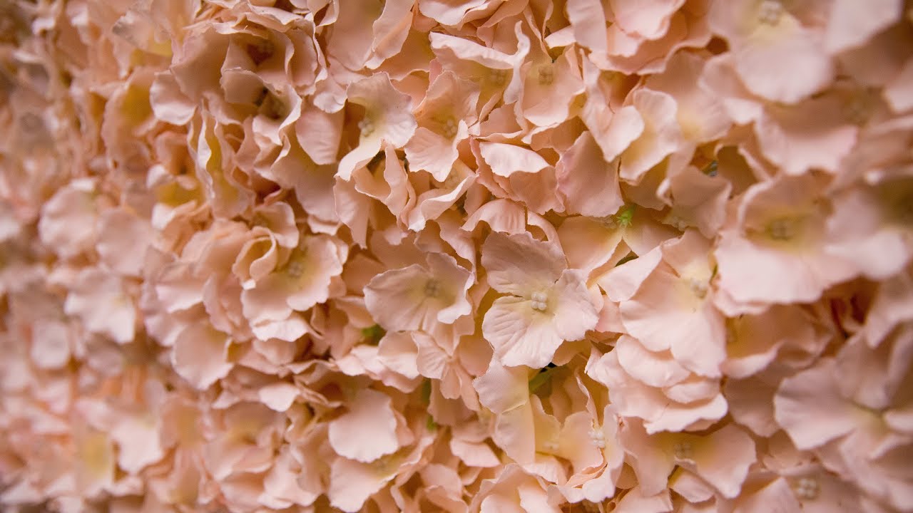 DIY Floral Backdrop - Perfect for Weddings & Showers! - YouTube