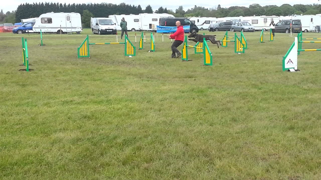 Garry & Bramble Comb 1-3 Helterskelter Hatton - YouTube