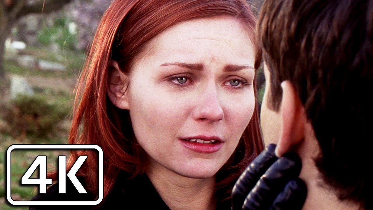 Spider-Man 1हिंदी climax scene Peter reject Mary Jane love proposal ...