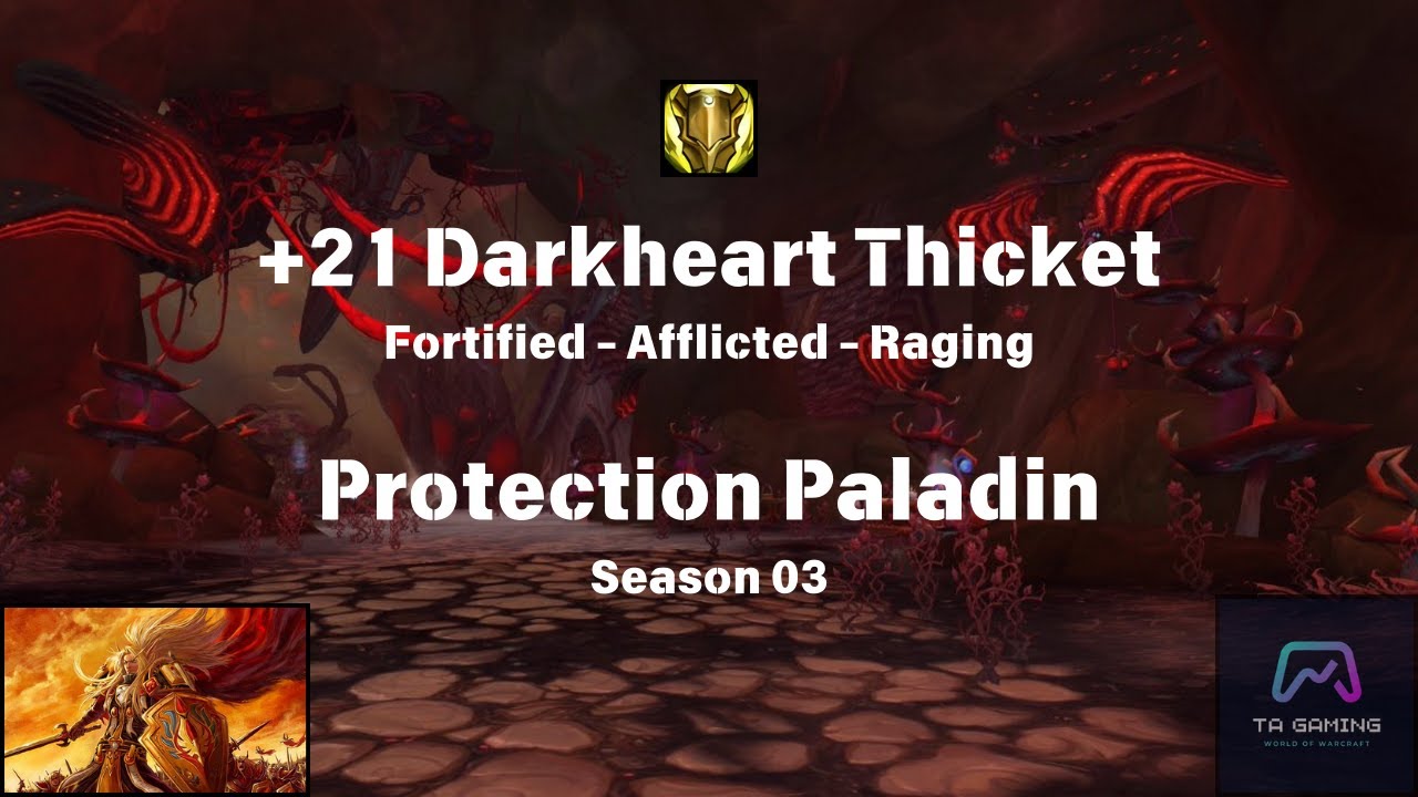 +21 Darkheart Thicket | Protection Paladin PoV | Fortified/ Afflicted ...
