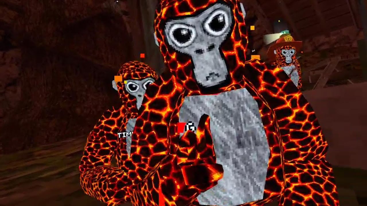 Tagging Gorillas in VR - YouTube