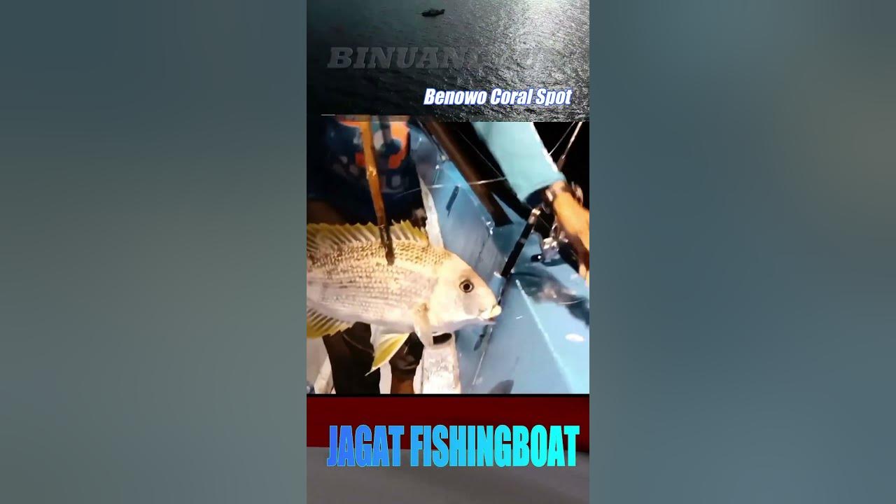 Spot Magic Mancing#11 || Karang Benowo #shorts - YouTube