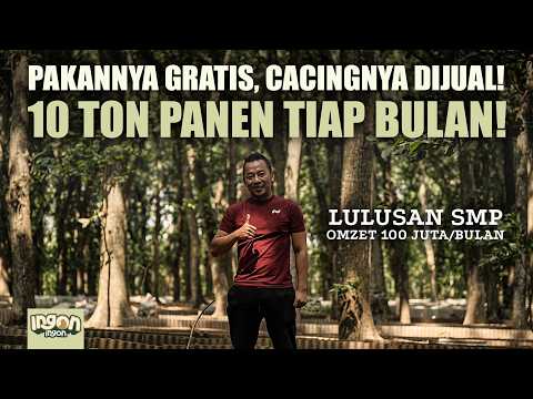Bisnis yang Menjijikkan Tapi Menjanjikan! Budidaya Cacing ANC Raup 100 Juta Perbulan