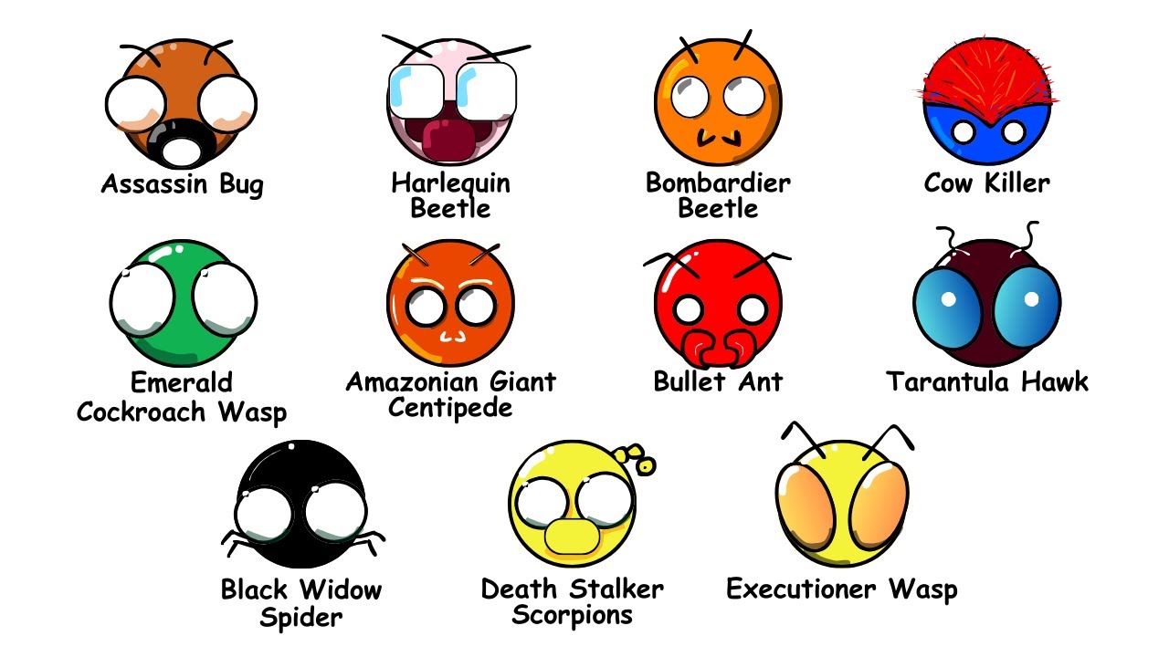 Every Deadly Insect Explained in 12 Minutes - YouTube