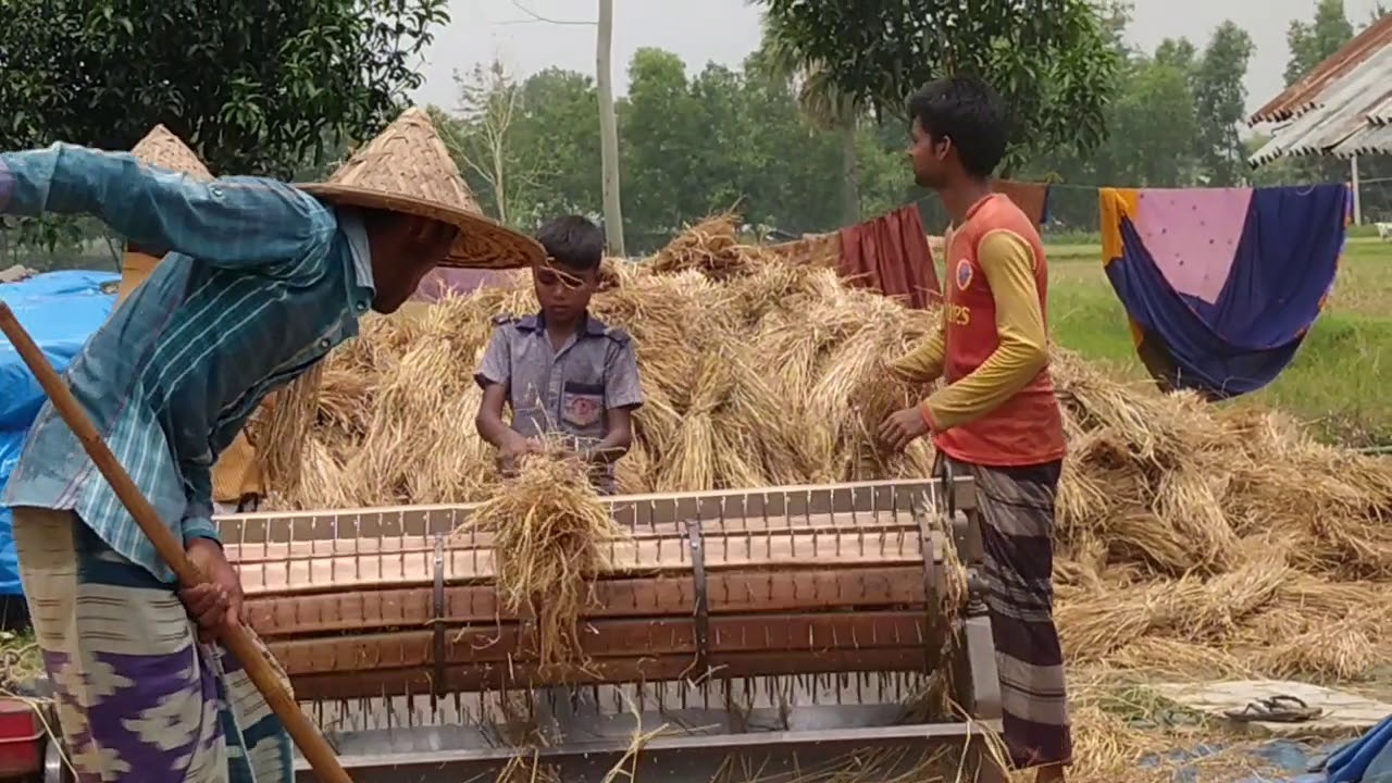 How to a Rice Thresher with machine at home in BD - YouTube
